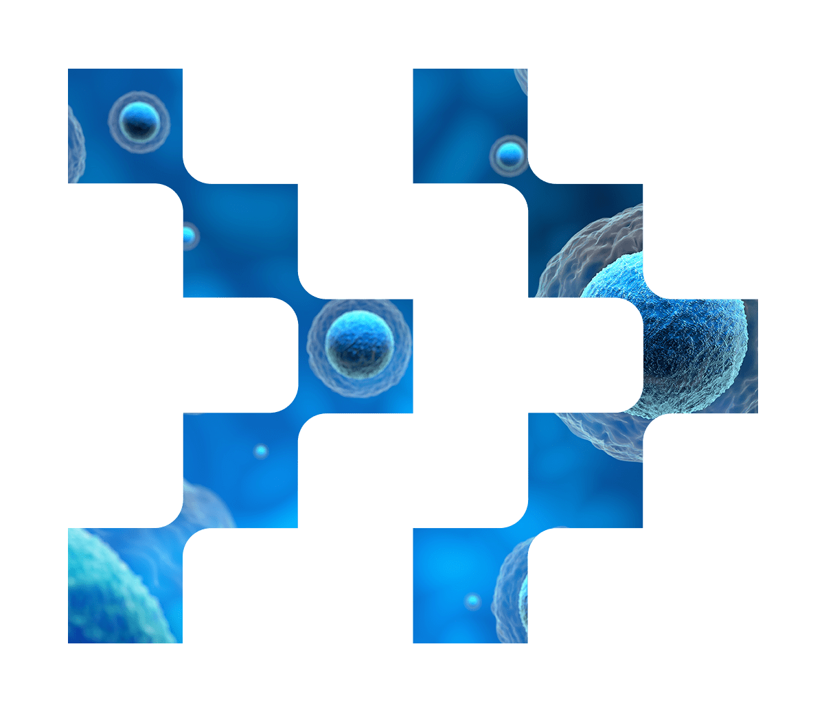 Products | Lab Automation And Research Equipment | CYTENA