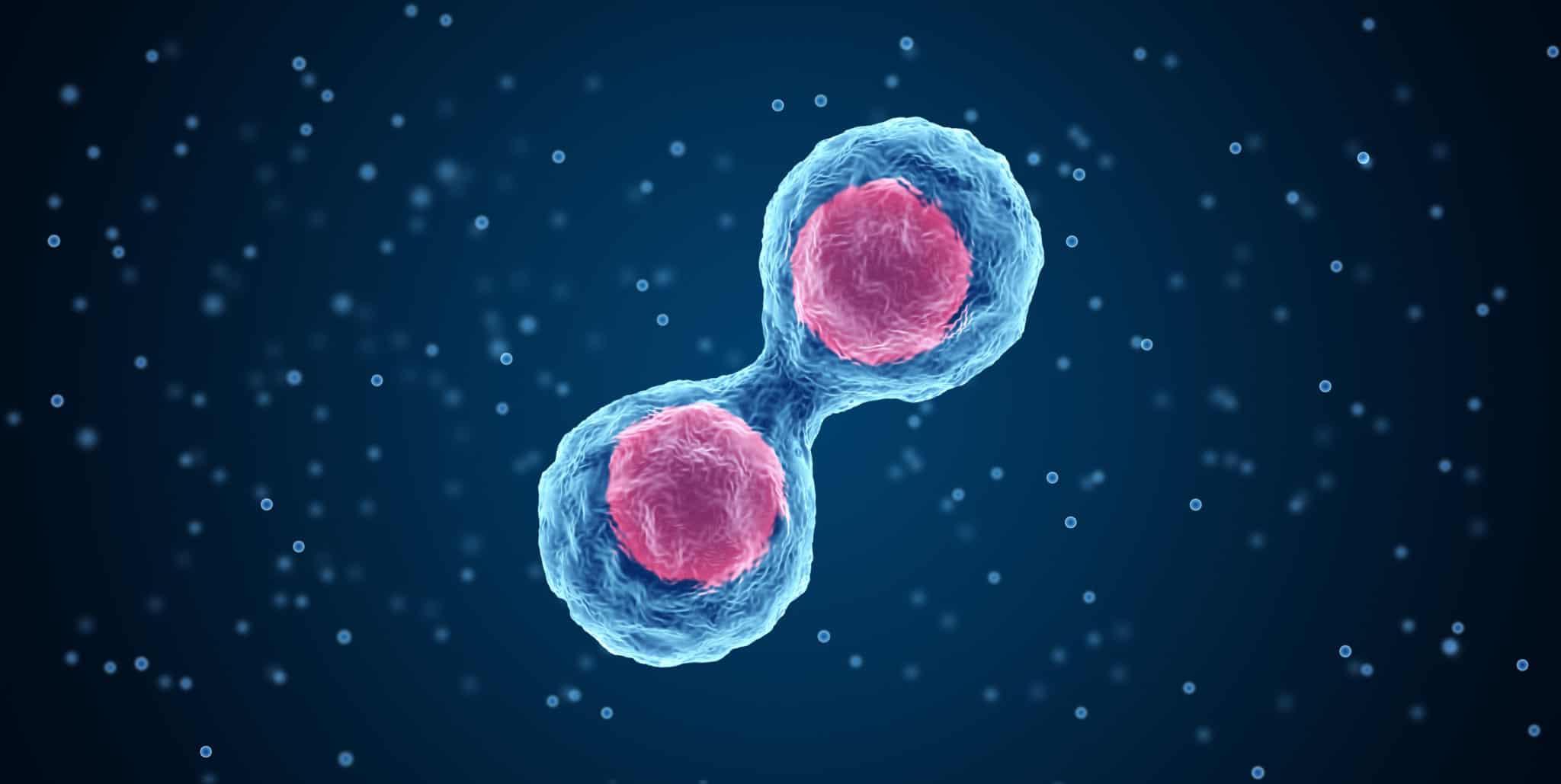 C.BIRD – Improving the single-cell cloning workflow through increasing ...